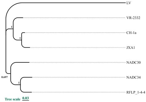 A Universal Multi Epitope Vaccine Design Against Porcine Reproductive And Respiratory Syndrome