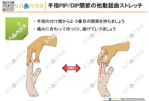 【無料ダウンロード】手指pip Dip関節の他動屈曲ストレッチ｜自主トレで使えるリハビリ用イラスト素材 リハビリ 自主トレーニング 脳トレ