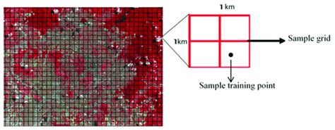 Area Frame Sampling With Systematic Sampling Sample Grid Is The Area