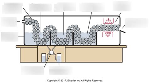 Component Parts Of The Automatic Processor Diagram Quizlet