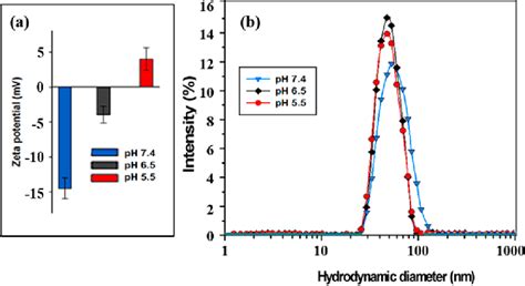 A ζ Potential And B Dls Particle Size Distribution Profiles Of