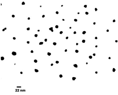 Transmission Electron Micrograph Of Purified Indian Isolate Of