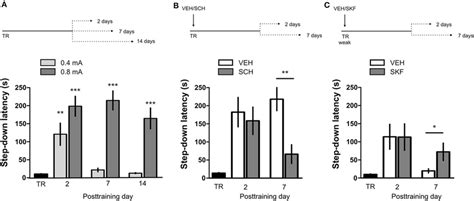 D1d5 Receptors Activity In Mpfc Immediately After Training Determines