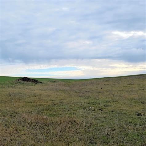 Premium Photo A Grassy Field With A Cloudy Sky