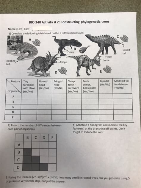 Bio 340 Activity 2 Constructing Phylogenetic Trees