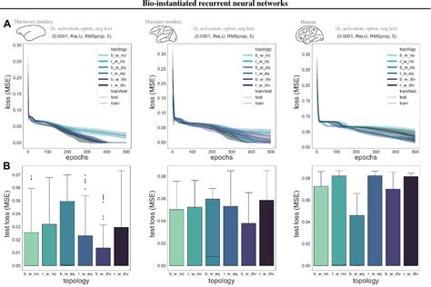 Pdf Bio Instantiated Recurrent Neural Networks 2021 Alexandros Goulas 4 Citations