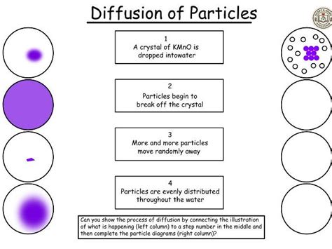 Diffusion Worksheets Differentiated Teaching Resources