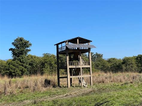 Dipesh Joshi On Linkedin And This Also Limits Negative Human Wildlife