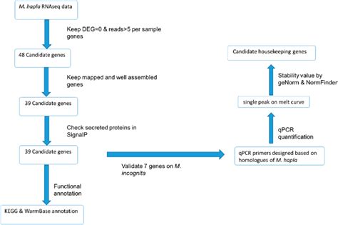 Candidate Housekeeping Gene Selection Pipeline Download Scientific Diagram