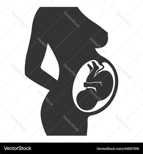 Pregnancy Royalty Free Vector Image Vectorstock