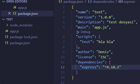 Npm Nedir Npm Temelleri Patikadev