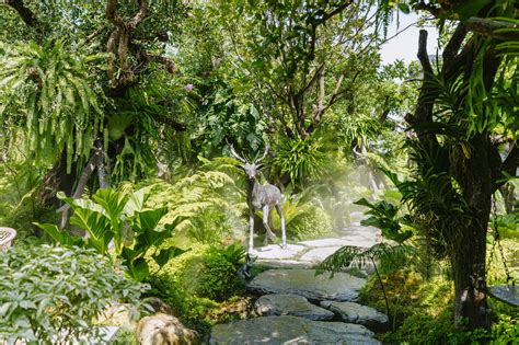 Trees Co มนบร ecommirst com