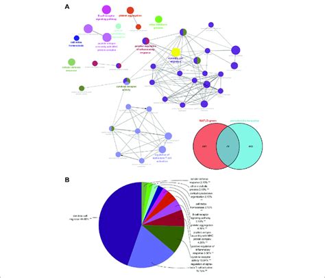 Cluego Enrichment Analysis A The Interaction Network Of Go Terms Download Scientific