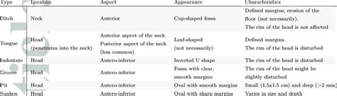 Osteological Criteria For Categorizing The Femoral Head Neck Defect Download Scientific Diagram