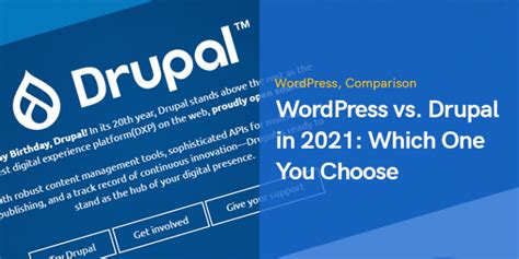 WordPress Vs Drupal Which One You Choose