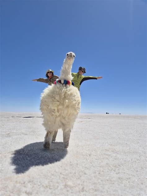 볼리비아 여행 우유니에서 아타카마 2박 3일 투어 기차무덤과 소금 사막1
