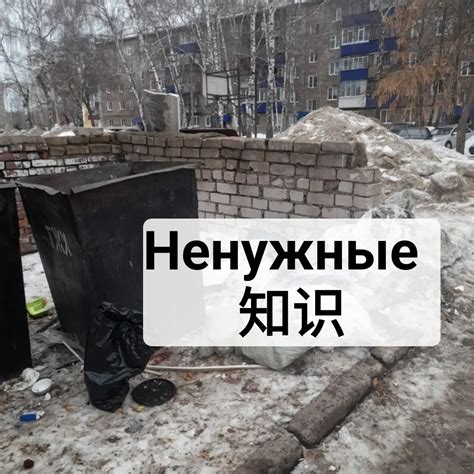 КИТАЙ Художественный перевод Зачем Тони Роббинс если есть они Даже если весь мир против