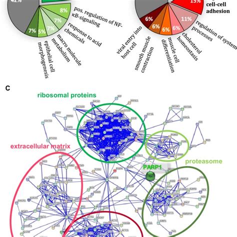 Functional Annotation Of Differentially Regulated Proteins A B Go