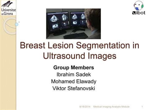 Breast Lesion Segmentation In Ultrasound Images Pptx Photo Editing