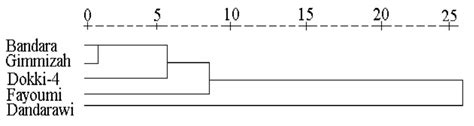 Dendrogram Demonstrating The Relationships Among The Five Strains Based Download Scientific