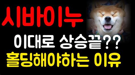 코인 💎시바이누💎 이대로 상승끝 홀딩해야하는 이유 Youtube