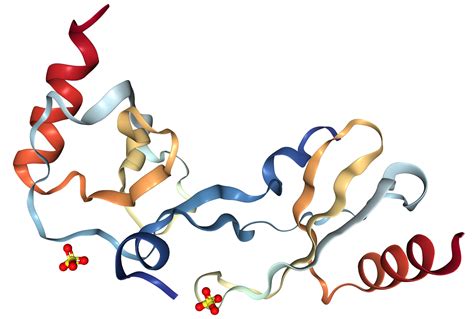 Mcp 1 Ccl2 General Information Sino Biological