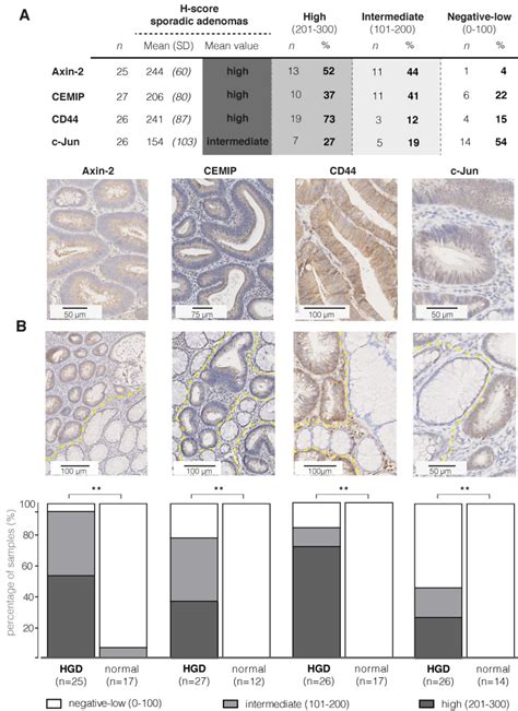 functional genomic mrna profiling of colorectal adenomas