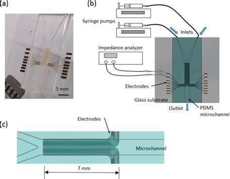 Microfluidic Chip For Quantitative Impedimetric Monitoring Of Cell Download Scientific Diagram
