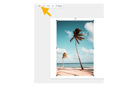 Erase Replace Objects From An Image Visme