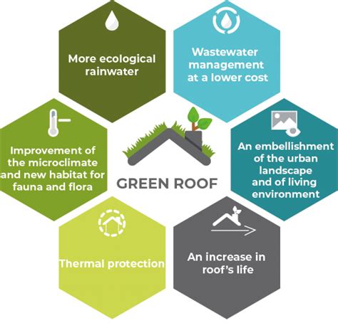 Green Roofs All You Need To Know Climatebiz