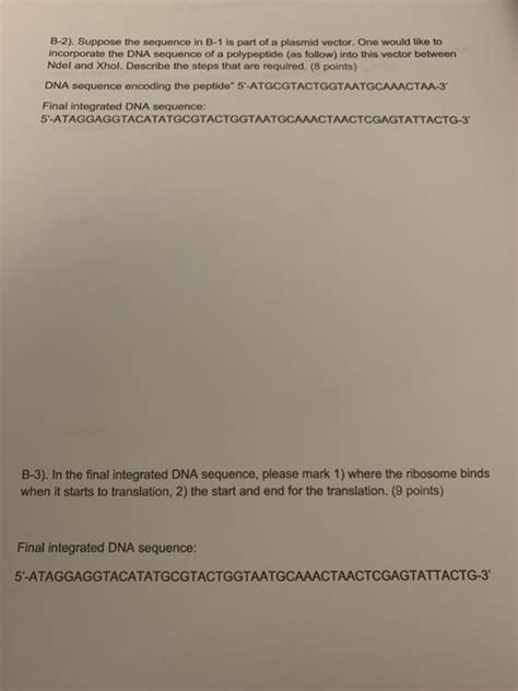 Solved B 2 Suppose The Sequence In B 1 Is Part Of A Chegg Com