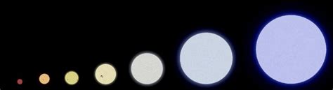 Star Evolution Online Observatory