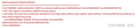 Leetcode Error Addresssanitizerdeadlysignal How To Solve Programmerah
