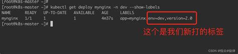十一、kubernetes核心技术label详解、实例 kubectl label csdn博客