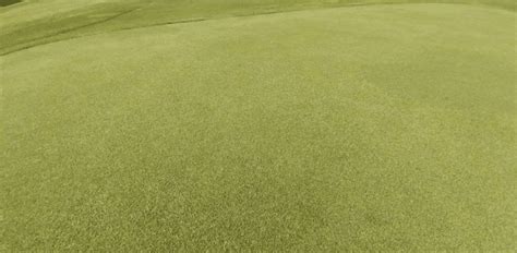 Pgr Use On Golf Courses Advanced Turf Solutions