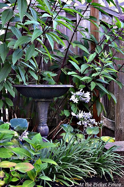 Lattice Turned Deck Privacy Screen