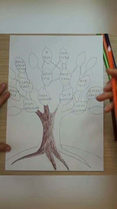 Как нарисовать СЕМЕЙНОЕ ДЕРЕВО Семейное дерево рисунок карандашом Дерево семьи рисунок Youtube