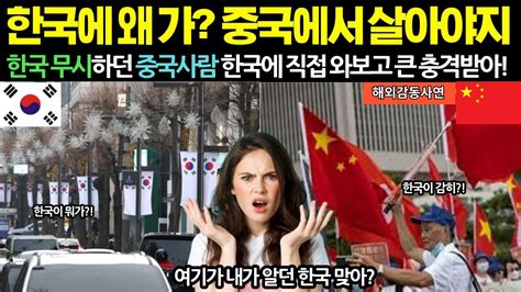 한국이 우리와 비교가 된다고 한국 무시하던 중국인들 한국에 와보고 큰 충격을 받는데 해외감동사연 Youtube