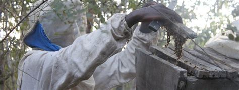 Enhanced Integrated Framework Eif Enhanced Integrated Framework Eif