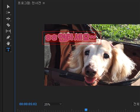 프리미어 프로 자막 텍스트 넣기 Premiere Pro Text 프리미어 기초 자막 글자 쓰기 방법 상세 네이버 블로그