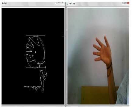 Final Output Of Palm Detector Module Download Scientific Diagram