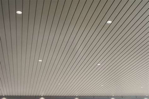 Bachelor Of Arts In Biological Sciences Undergraduate Programs Umbc