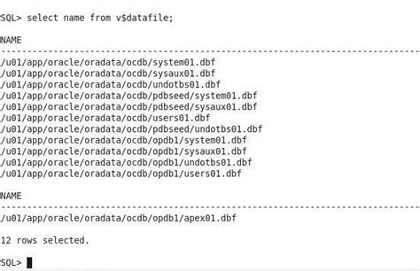 Modularization By Using Oracle Database Containers And Pdbs On Docker Engine