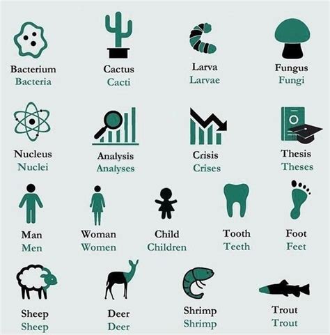 Единственное и множественное число Easy English Английский Легко ВКонтакте