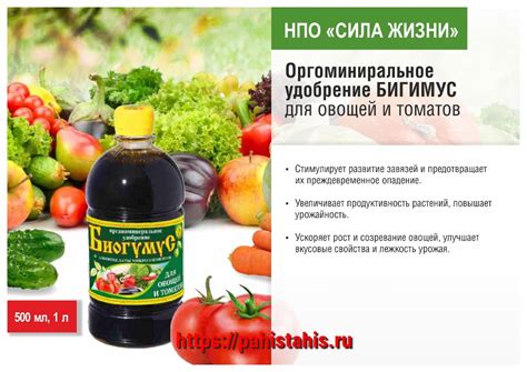 Лучшие удобрения для комнатных растений