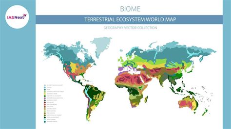 Biomes Of The World