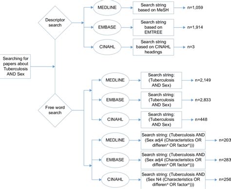 Observed Ambiguities In Search Results For Tuberculosis And Sex Related Download Scientific