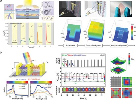 Advanced Bioinspired Organic Sensors For Future‐oriented Intelligent Applications Lu 2023
