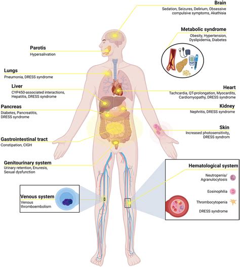 Clozapine Associated Side Effects Overview Of The Clinically Most Download Scientific Diagram