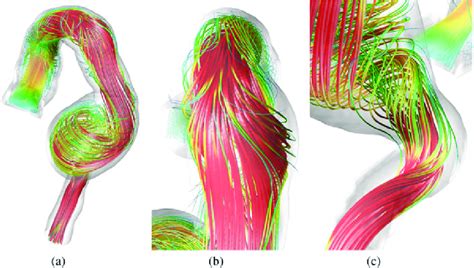 Instantaneous Streamlines Download Scientific Diagram